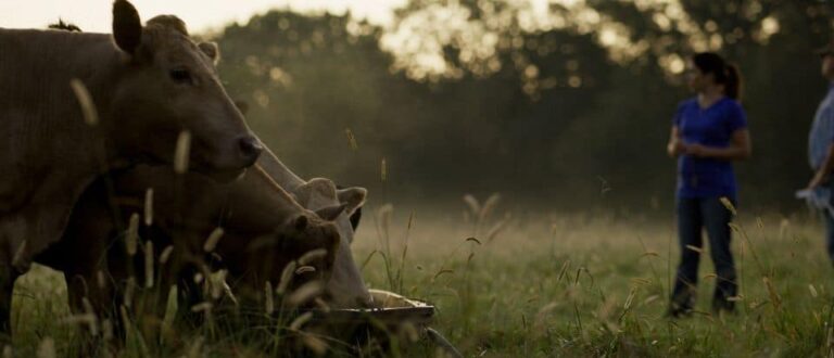 News & Notes – MO Beef Kids